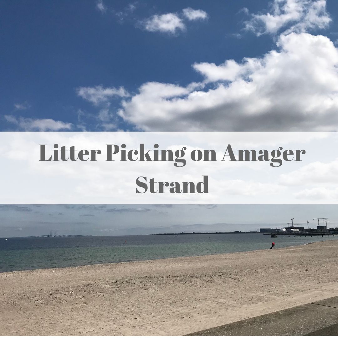 Litter Picking on Amager Strand {video} – Dejlige Days